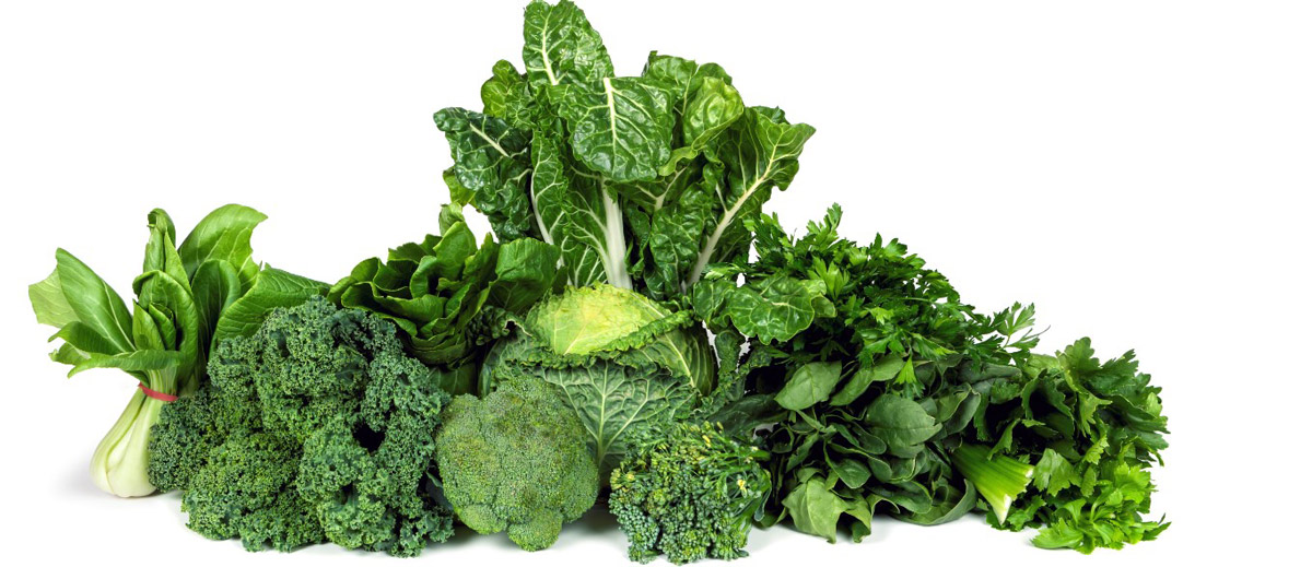 Food That Improves Your Eye Health And Energy Evans McMahon